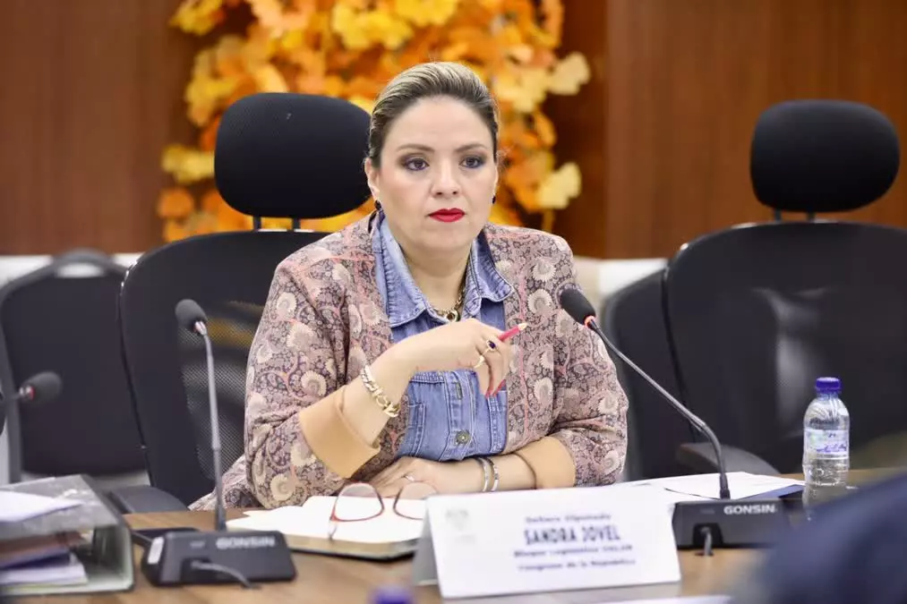 Sandra Jovel denuncia que diputados reciben dinero a cambio de votos en ...